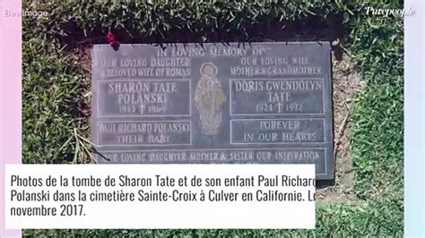 Sharon Tate L épouse de Roman Polanski assassinée enceinte de 8 mois