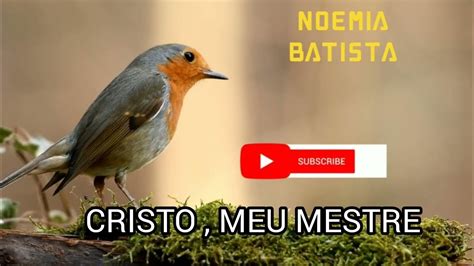HINO CCB 01 CRISTO MEU MESTRE YouTube