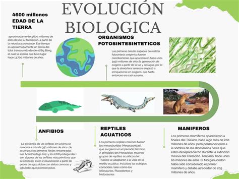 Evolución biológica daniela uDocz