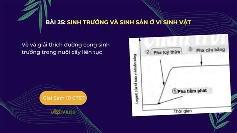 Vẽ và giải thích đường cong sinh trưởng trong nuôi cấy liên tục
