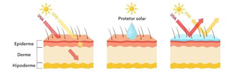 Radiação ultravioleta UV o que é tipos efeitos Mundo Educação