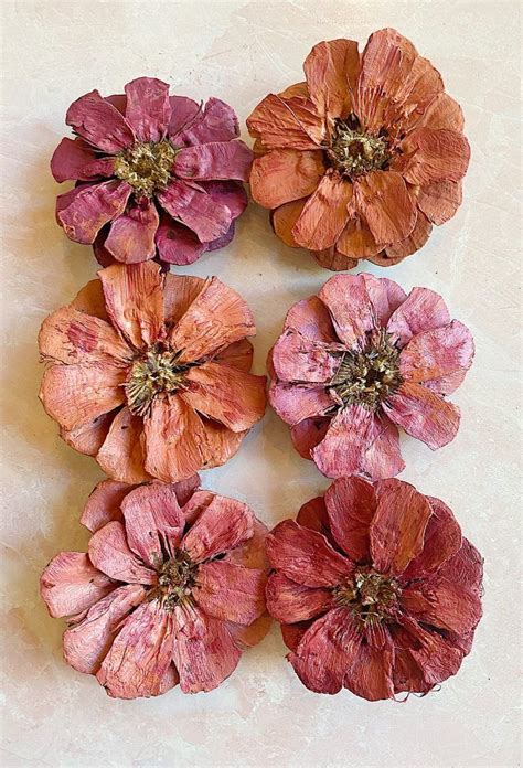 Cones Crafts Pine Cone Crafts Wreath Crafts Diy Wreath Diy Crafts