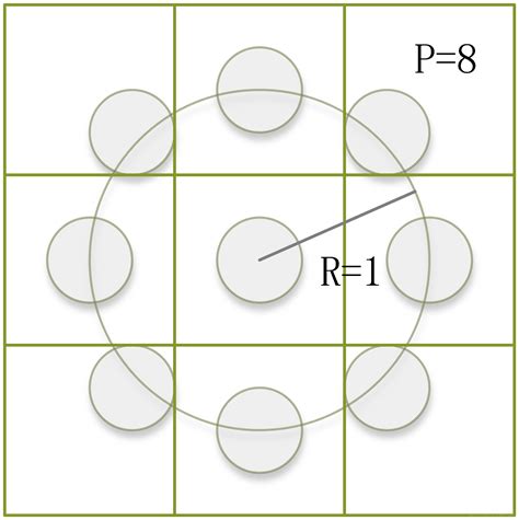 局部二值模式 local binary patterns 进行纹理分类 走看看