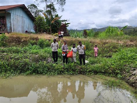 Kunjungi Spot Peternakan Ikan Binmas Noken Pegunugan Bintang Serahkan