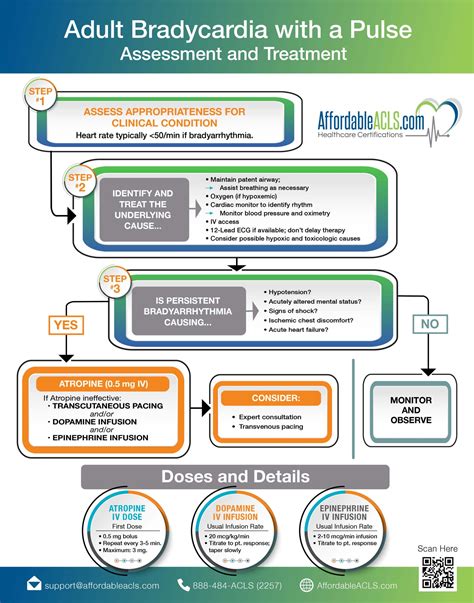 Adult Bradycardia With A Pulse Algorithm Affordable Acls