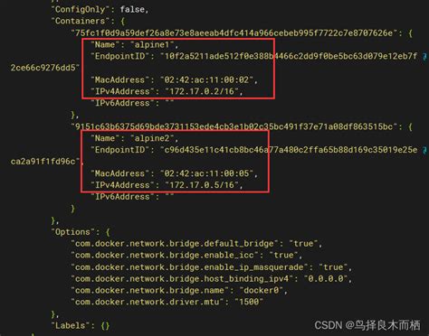docker学习第三天——docker容器技术（三） 容器搜索域 csdn博客