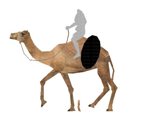 Ghost Rides A Camel Camel Free Animated PicMix
