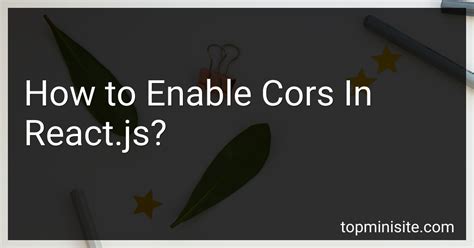 How To Enable Cors In React Js In 2024
