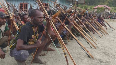 Perang Suku 2 Tahun Di Puncak Papua Diakhiri Dengan Ritual Adat Bakar