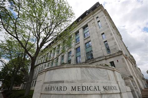 Cuál es el secreto de la felicidad según Harvard TN