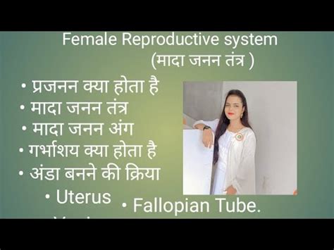 Female Reproductive System In Hindi Menstrual Cycle Uterus Ovary