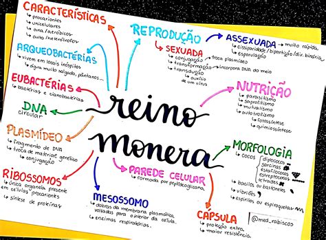 Mapa Mental Sobre Reino Monera Study Maps Artofit