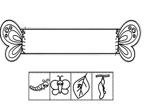 Ciclo De Vida Da Borboleta Ciclo De Vida Da Borboleta Interativo