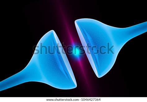 Synapse Between Two Neurons Neural Synapse Stock Illustration