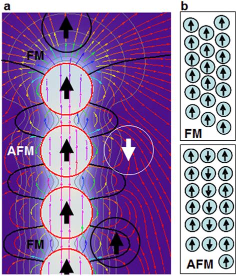 Simulation And Schematic Diagrams Illustrating Magnetic Dipolar