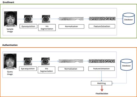 working of iris recognition system download scientific diagram