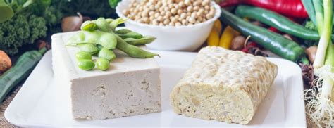 Tempeh Vs Tofu What S The Difference H B