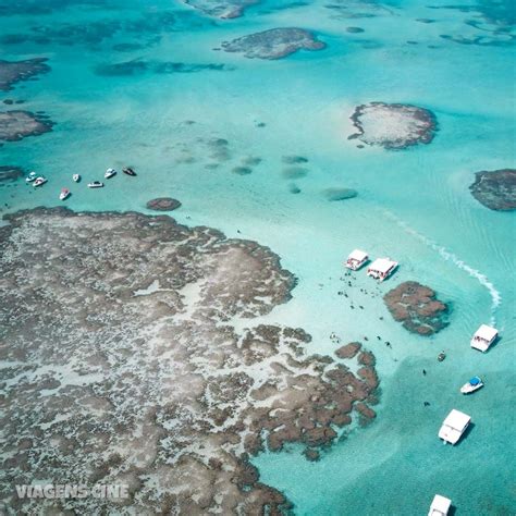 O Que Fazer Em Maragogi Alagoas Top Praias Para Conhecer Artofit