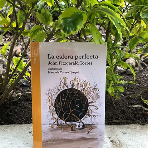 Libro La Esfera Perfecta John Fitzgerald Juvenil Libro
