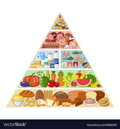 Food Pyramid Healthy Eating Infographic Royalty Free Vector