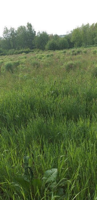 Działka Wola Radziszowska ul Widokowa bez pośrednika 8500 m2 390