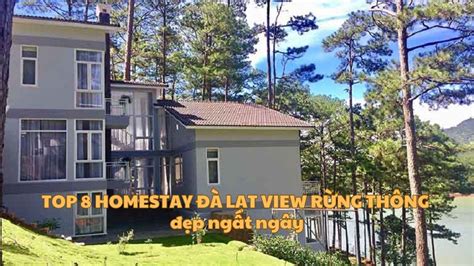 Top 8 Homestay Đà Lạt view rừng thông đẹp ngất ngây