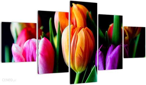 Domali Obraz tulipanów na czarnym tle pięcioczęściowy 125x70 cm 82223