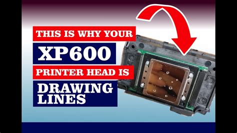 This Is Why Your XP600 Printer Head Is Drawing Lines YouTube