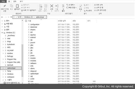모두의 sql 02 oracle sql developer 설치하기 4