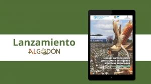 Lanzada cartilla con recetas prácticas para combatir insectos en