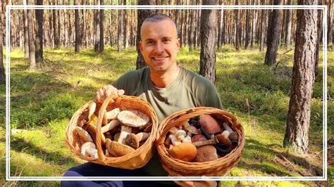 SUPER GRZYBOBRANIE w pięknych BORACH TUCHOLSKICH DWA KOSZE GRZYBÓW