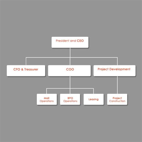 Starmalls Inc Organizational Chart