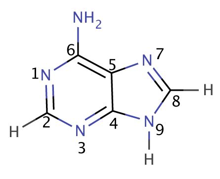 Adenine And Uracil Bond What How Detailed Facts Lambda Geeks