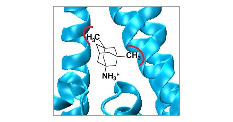 Dual Action Of Amitriptyline On Nmda Receptors Enhancement Off