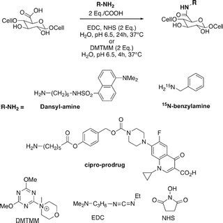 Amidation Reaction And Coupling Agents Covalent Binding Of Various