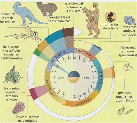 Escala De Tiempo Geológico Ciencias De La Tierra