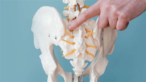Inflammation Sacro Iliaque Sympt Mes Causes Et Traitements