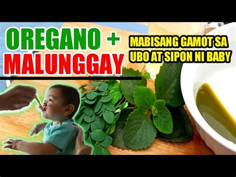 Herbal Na Gamot Sa Ubo Ng Baby Atelier Yuwa Ciao Jp