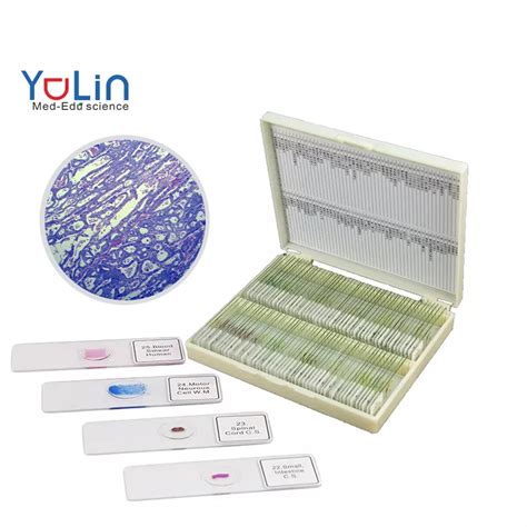 Factory Biomedical Research Microscope Slides Prepared Using Human