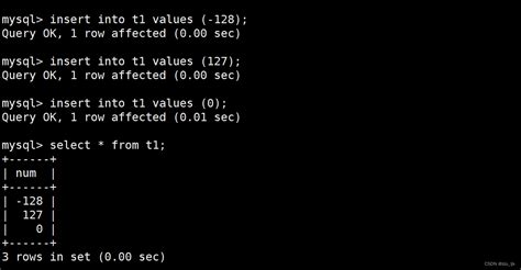 【mysql】数据类型 数据库类型int varchar csdn博客