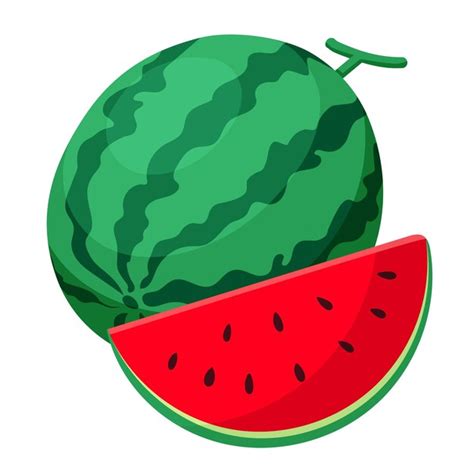 Premium Vector Watermelon And Slice