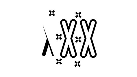 Sexfilm Bilder Durchsuchen 4579 Archivfotos Vektorgrafiken Und Videos Adobe Stock