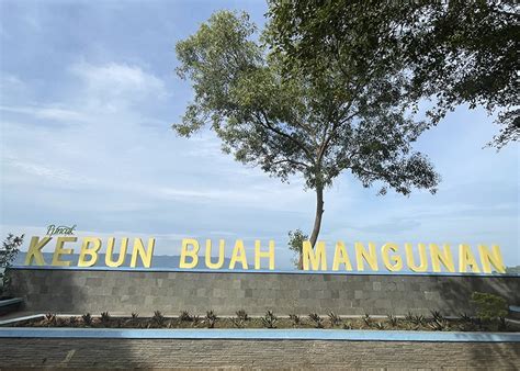 Kebun Buah Mangunan Tiket Masuk Fasilitas Lokasi Rute