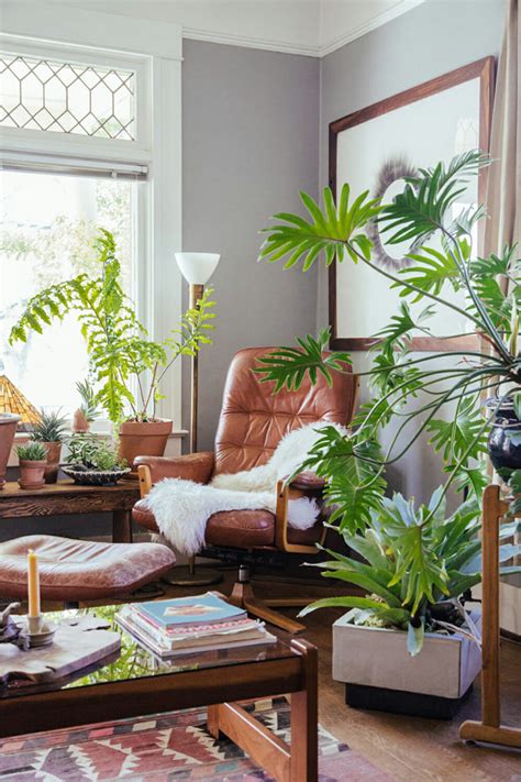 12 Lush Indoor Plants To Freshen Up And Decorate Your Home CUBICOON