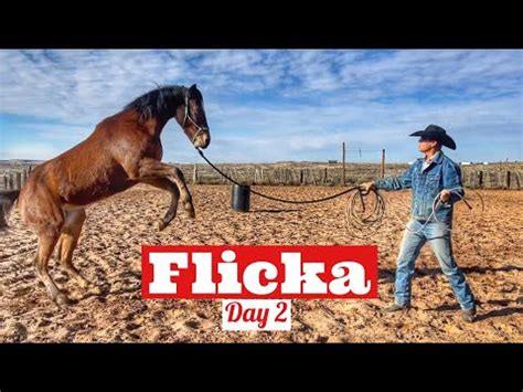 Flicka Youtube