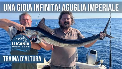 Traina Daltura Aguglia Imperiale S3 E9 YouTube