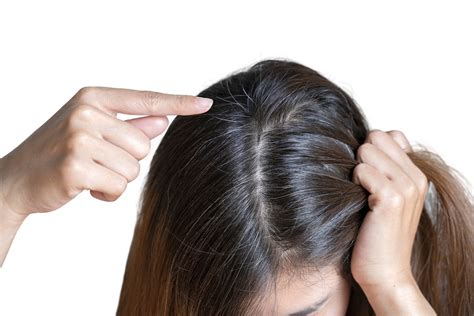 COME COPRIRE I CAPELLI BIANCHI Tutti I Metodi Da Conoscere