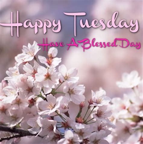 Happy Tuesday Have A Blessed Day Pictures Photos And Images For