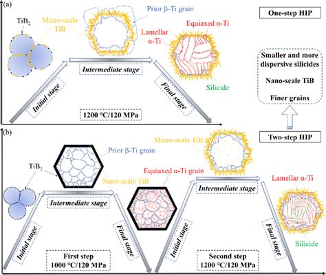 Schematic Diagram Of Microstructure Evolution Mechanism During A