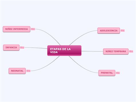 ETAPAS DE LA VIDA Mind Map